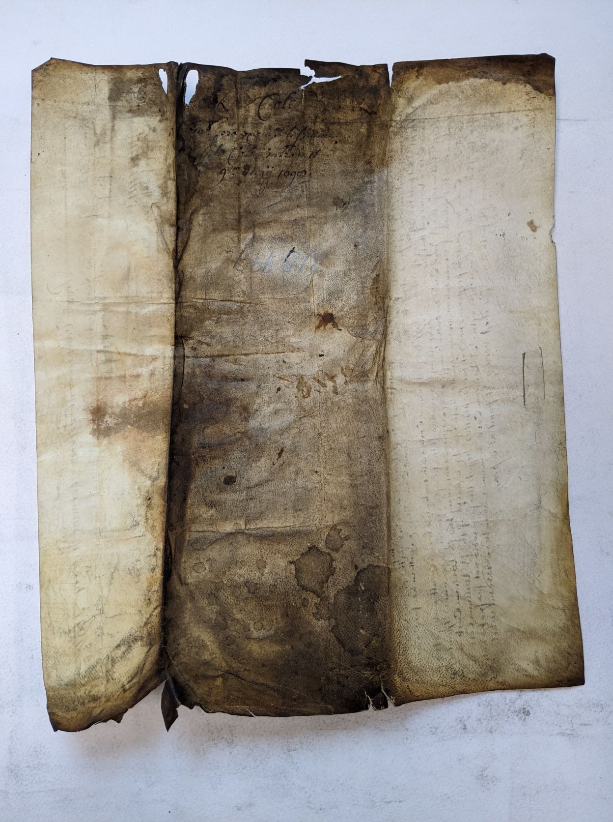 What the History student should know about archive collection care – A ...