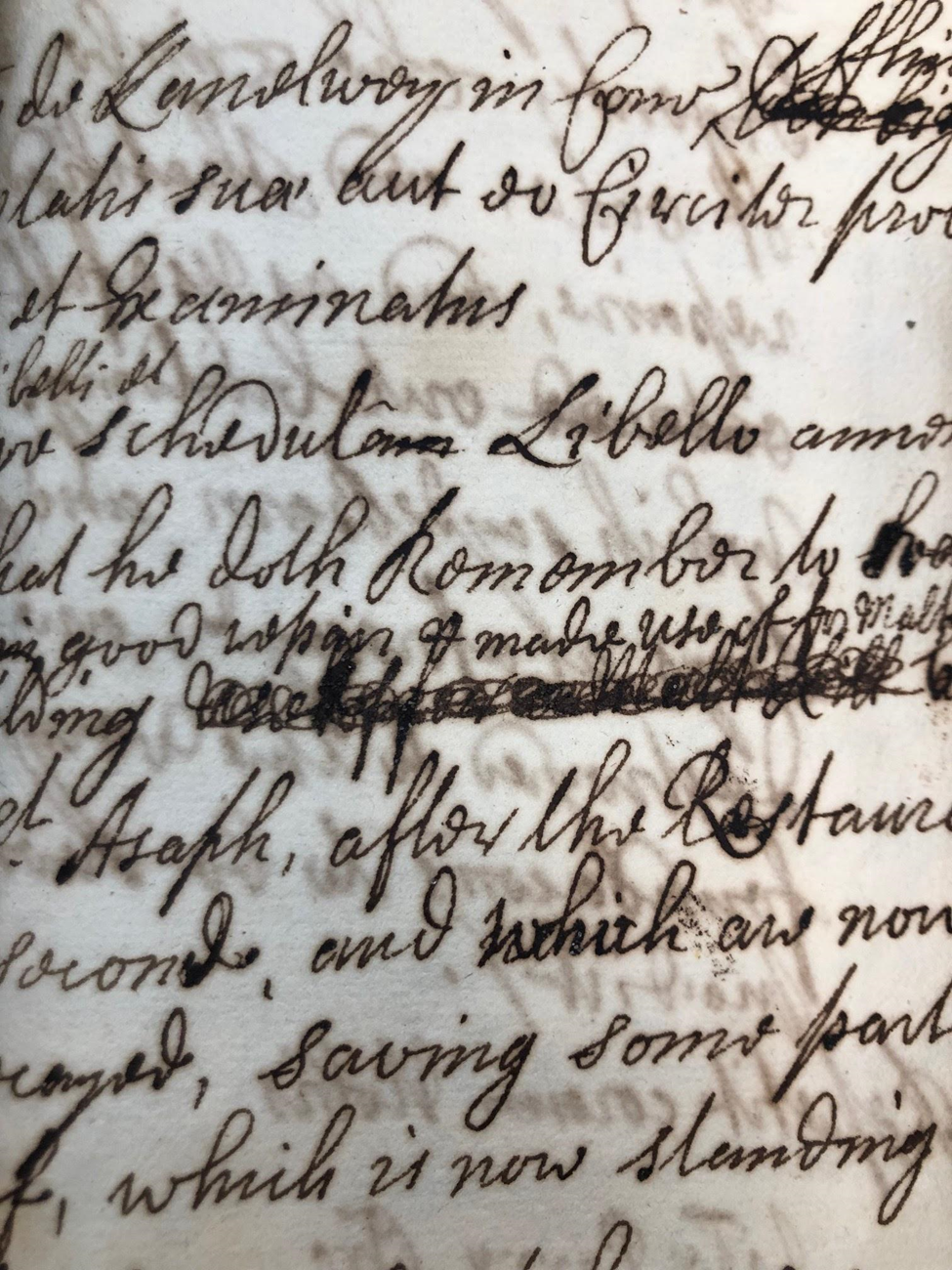 Collections Care taster day: Court of Arches – A Monument of Fame