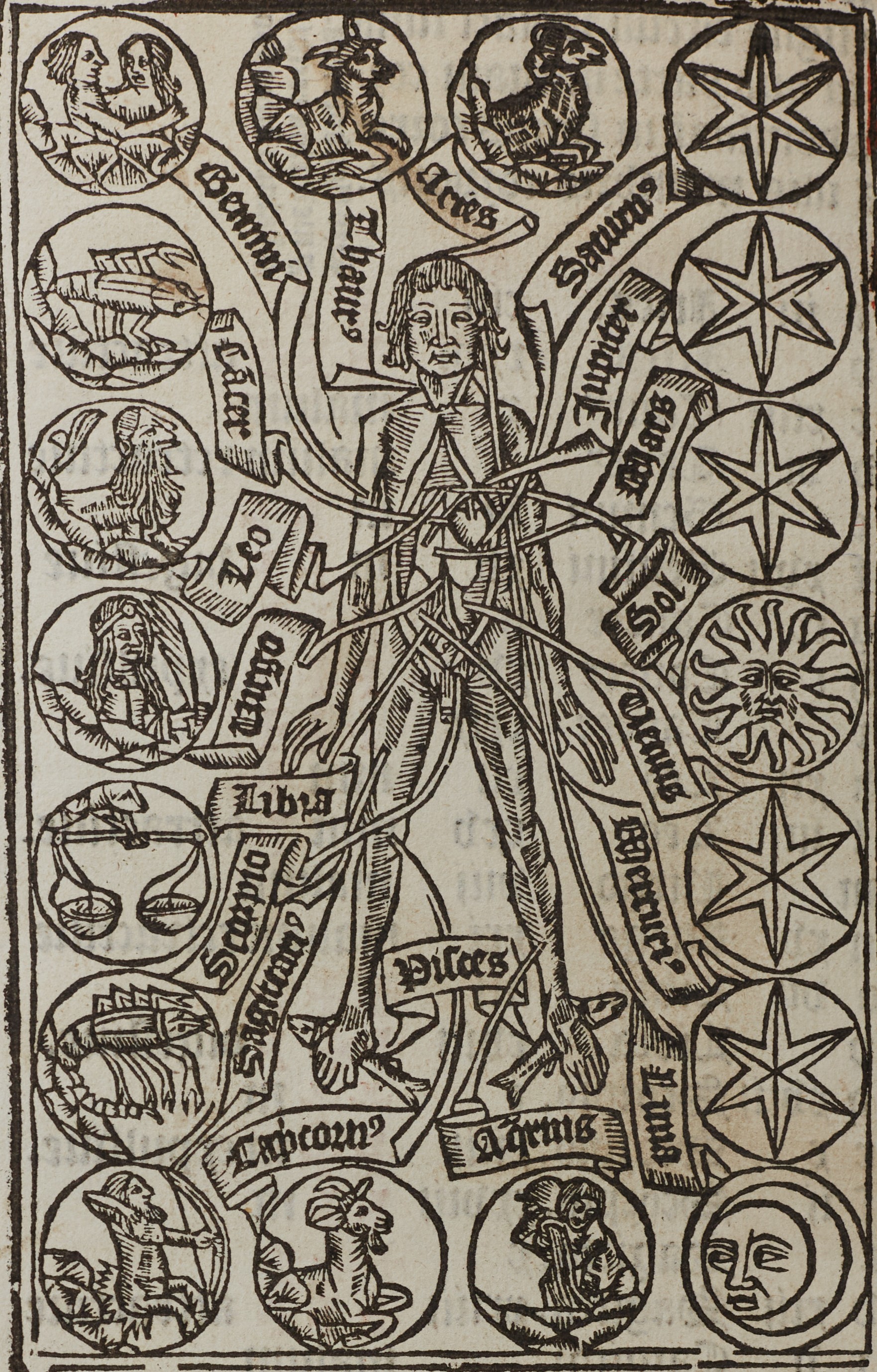 Understanding the Zodiac Man – A Monument of Fame